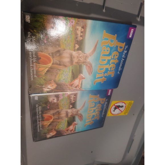 unknown | Media | The Real Animals Of Peter Rabbit Dvd 28 | Poshmark